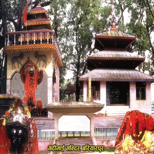 Nepal: Gadhimai (The Temple of Sacrifice)